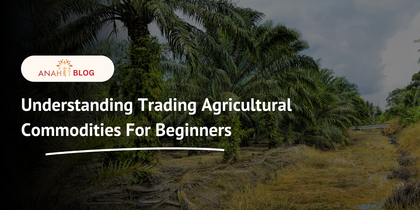 Understanding Trading Agricultural Commodities For Beginners